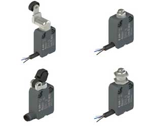 Pizzato Limit Switch | FR, NA, FM, NF, MS, & More Series